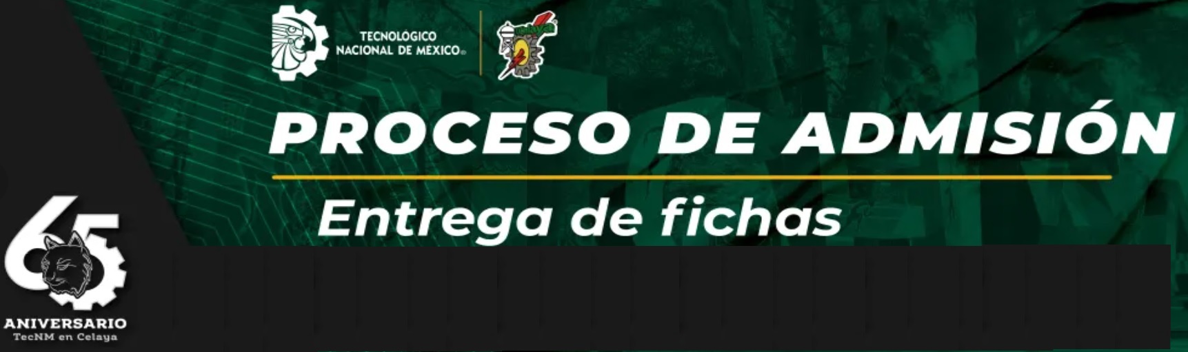 Instituto Tecnológico de Celaya - Site