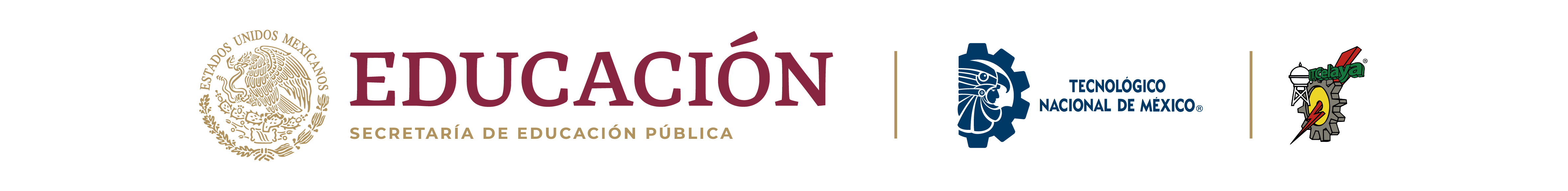 Instituto Tecnológico de Celaya - Site